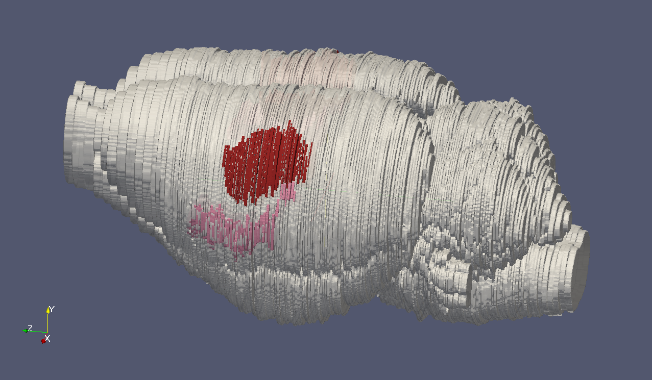 3d model of a rat brain reconstructed with 3dbar from ‘Rat brain atlas ...